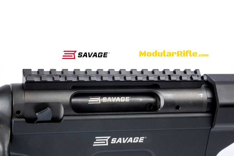 Savage Model 10 APO Ashbury Precision Ordnance | Modularrifle.com